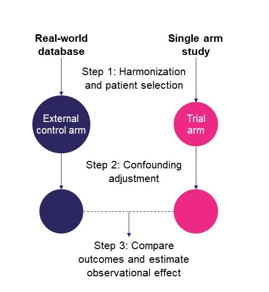 The Role of External Data in Oncology Drug Development - Clinical Trial Software & Data Analysis ...